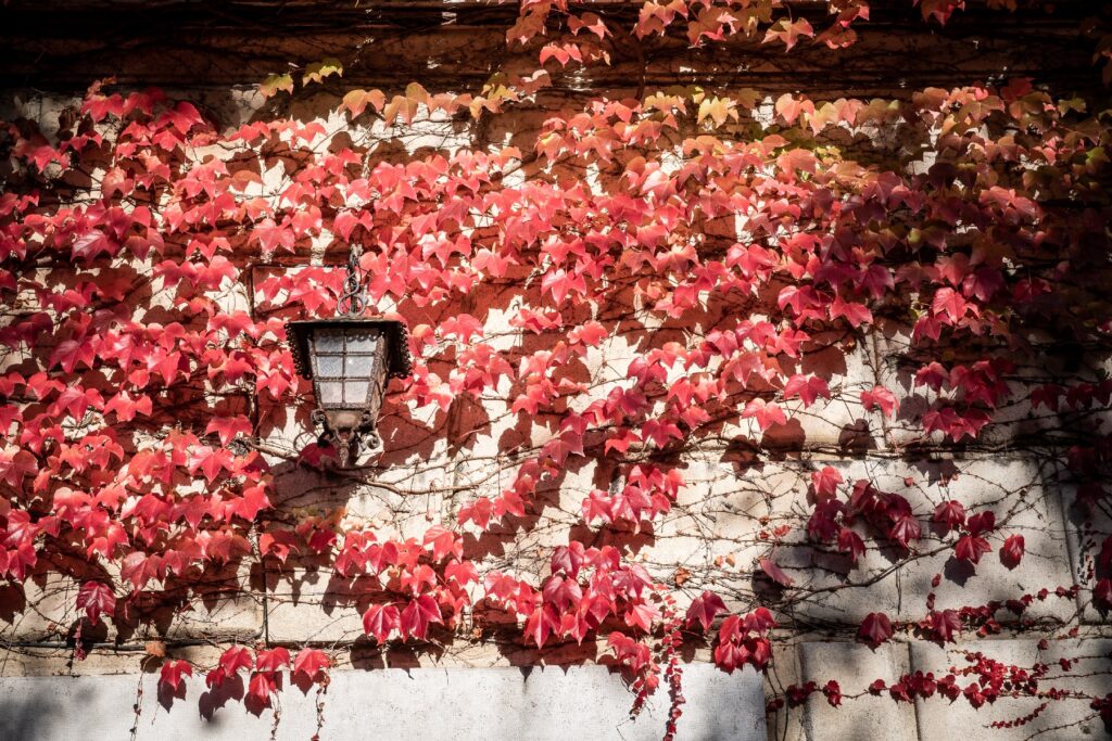 Villa Locatelli - Villa Locatelli